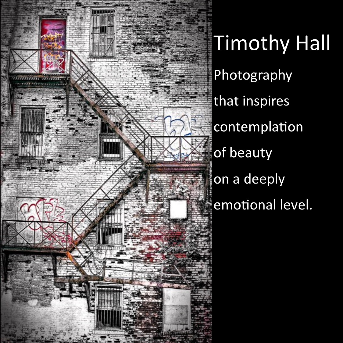 Temple Terrace Arts CouncilTimothy Hall
